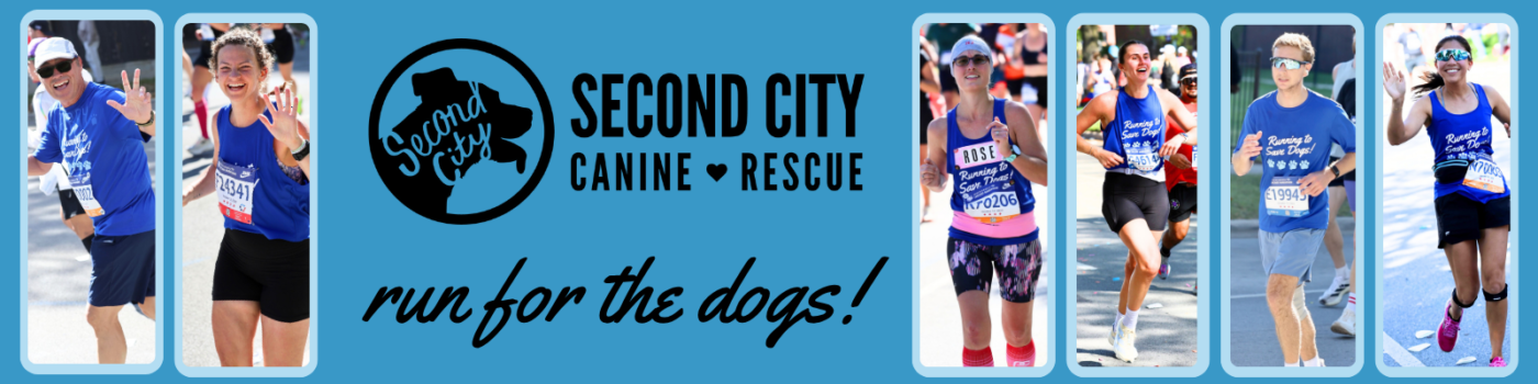 Run for the Dogs – Second City Canine Rescue